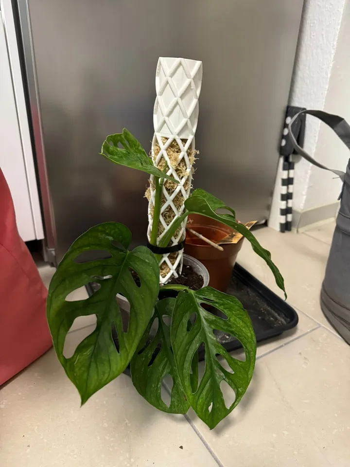 Moos Stab | Moss Pole - self watering by d0mse | Download free STL ...