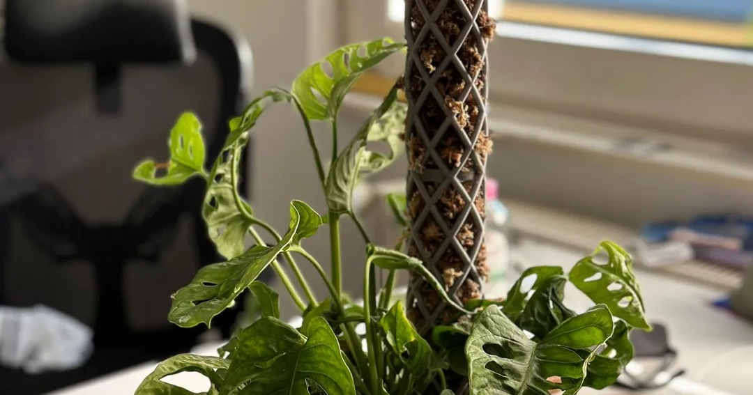 Moos Stab | Moss Pole - self watering by d0mse | Download free STL ...