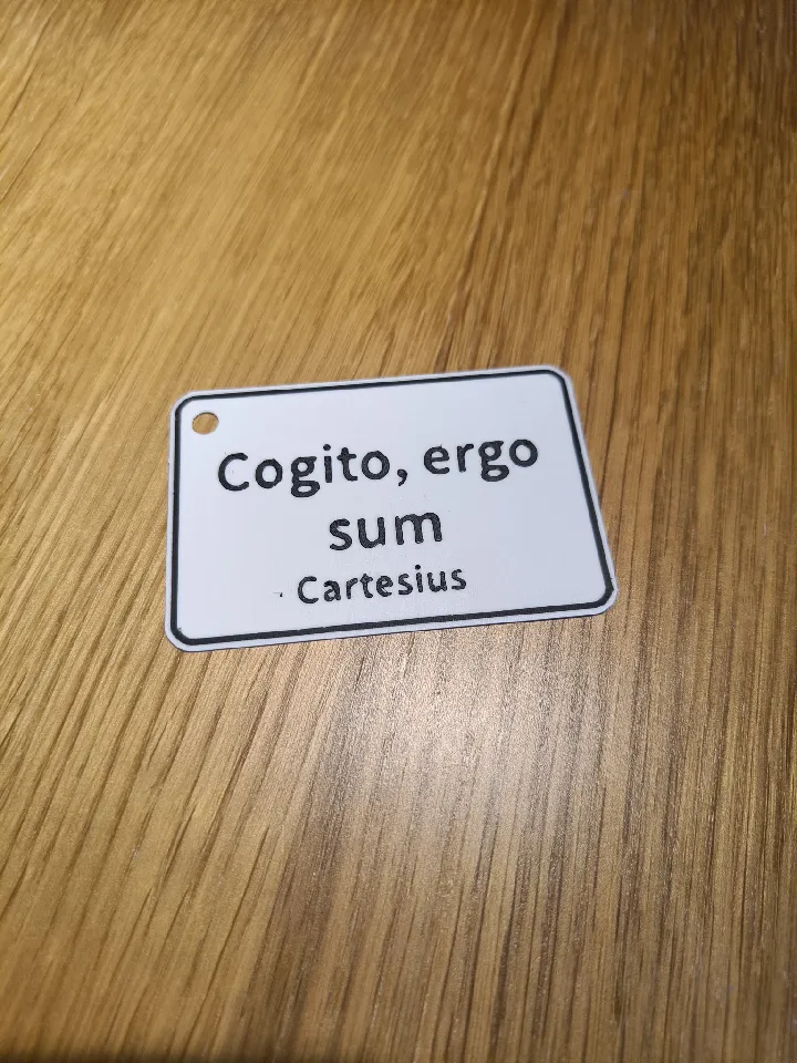 Cogito Ergo Sum Cartesius By Mycreativechaos8 Download Free Stl Model