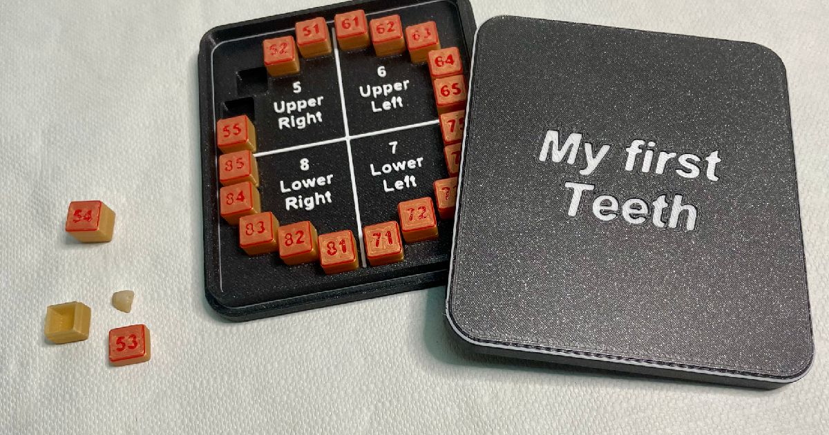 My first Teeth by Henk | Download free STL model | Printables.com