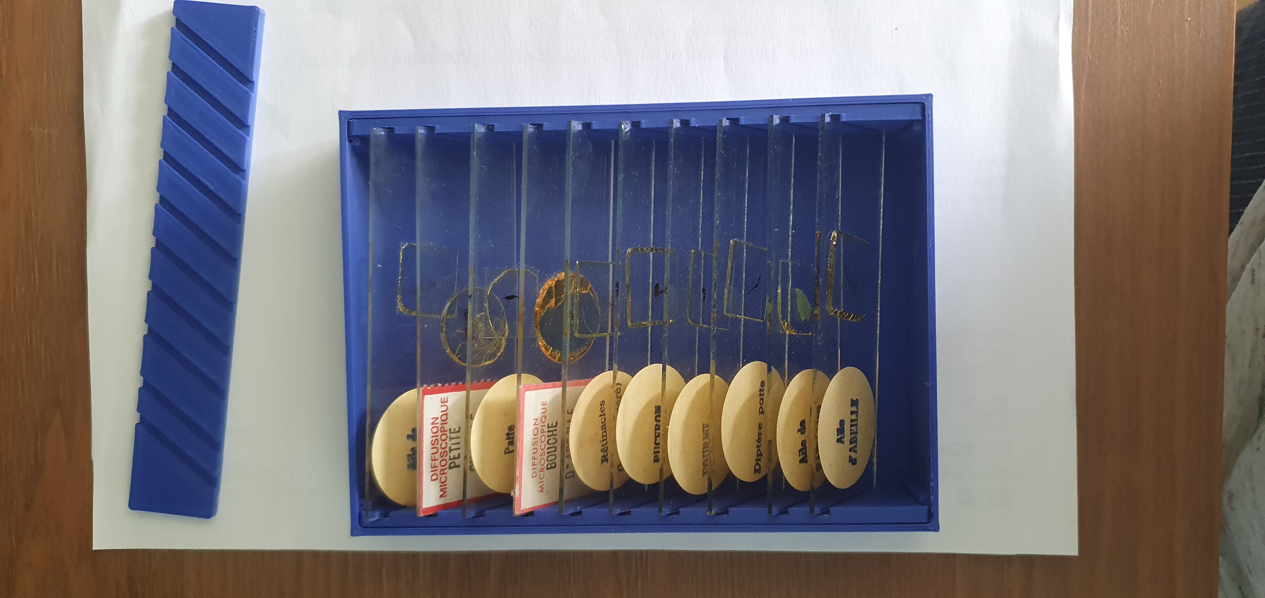 Laboratory coverslip display box by Josh | Download free STL model ...
