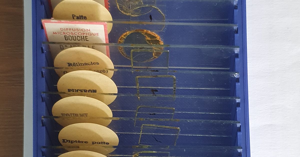 Laboratory coverslip display box by Josh | Download free STL model ...