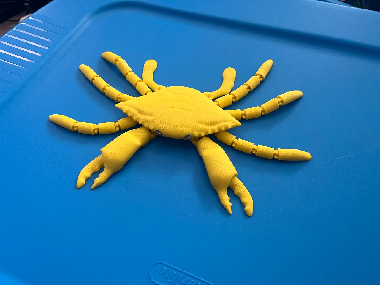 Flexi Crab by GamesAndToys64 | Download free STL model | Printables.com
