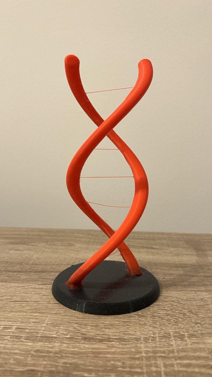 DNA String art by Miguel Quiroga Bóveda | Download free STL model ...