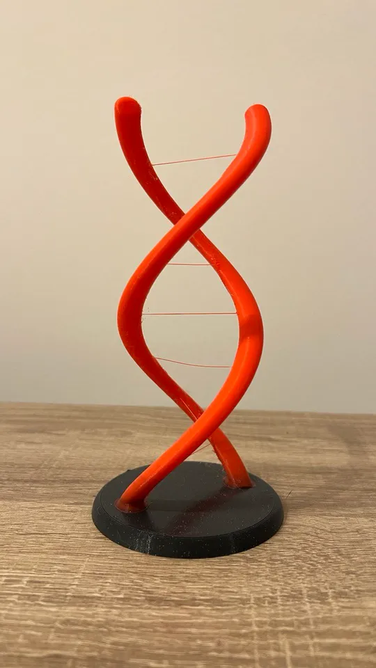 DNA String art by Miguel Quiroga Bóveda | Download free STL model ...