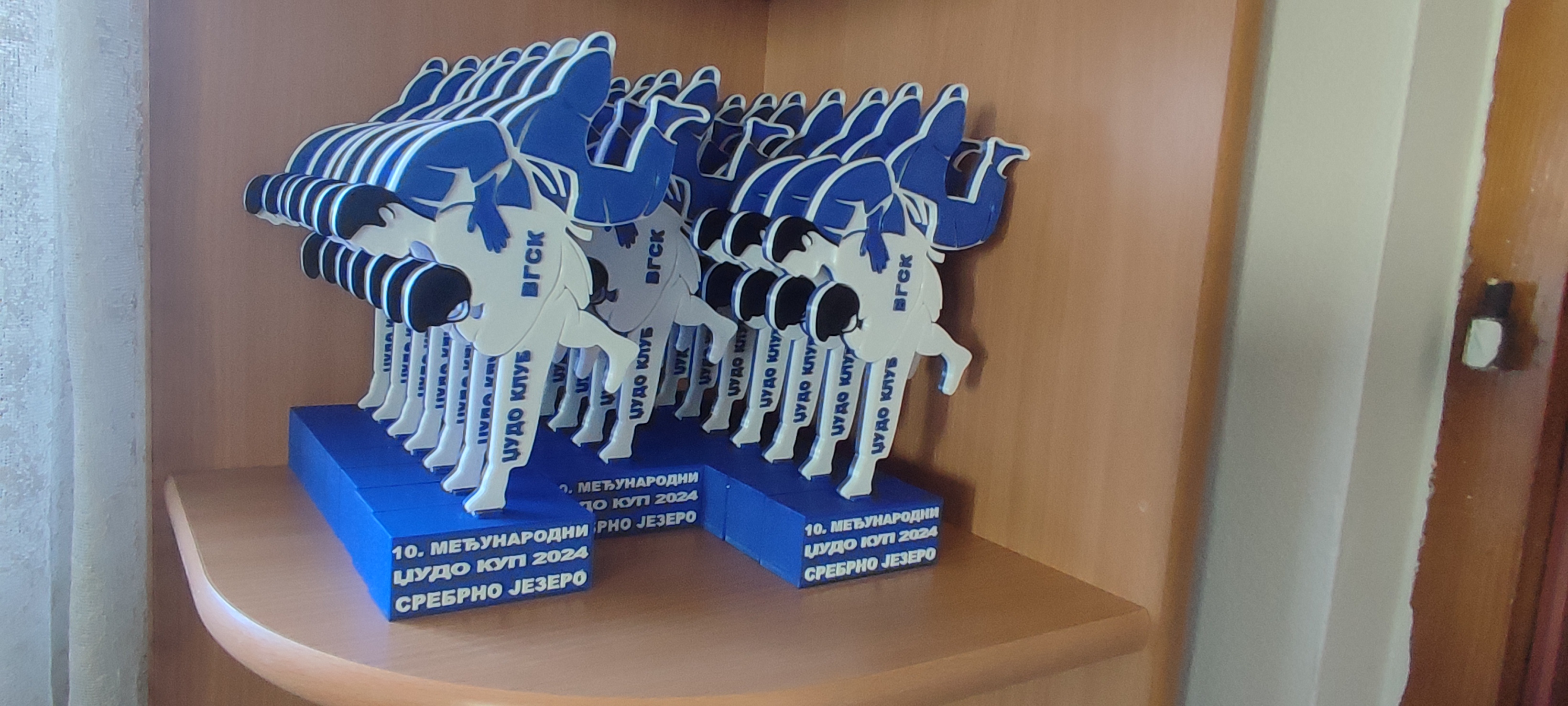 Judo award by Kankaras | Download free STL model | Printables.com