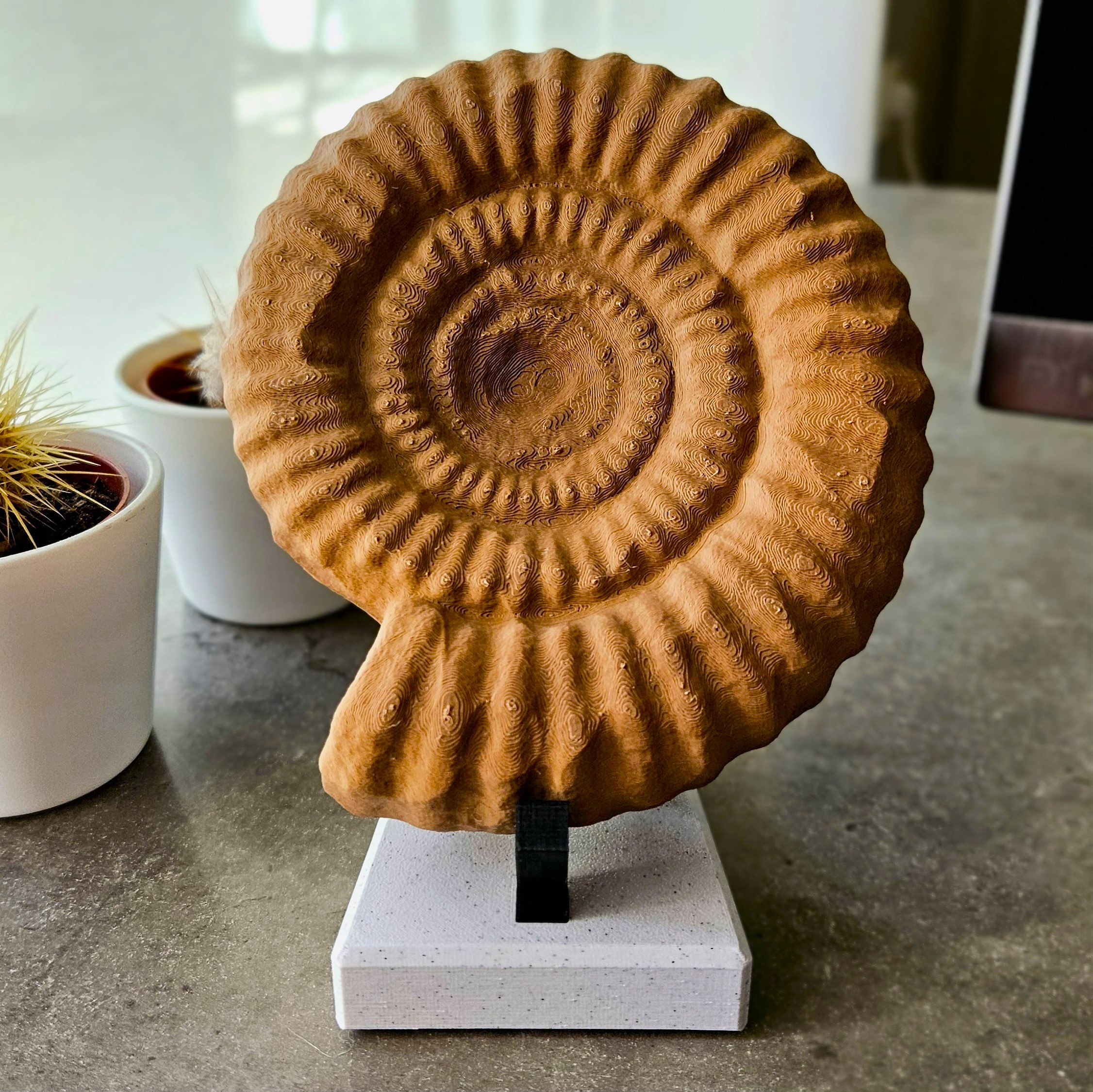 Ammonite sculpture by Colligo | Download free STL model | Printables.com