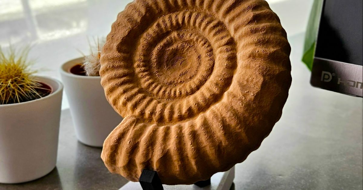 Ammonite sculpture by Colligo | Download free STL model | Printables.com