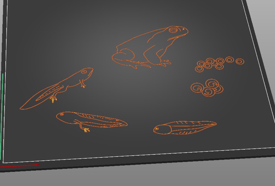 Tactile image: frog metamorphosis by GutenBar | Download free STL model ...
