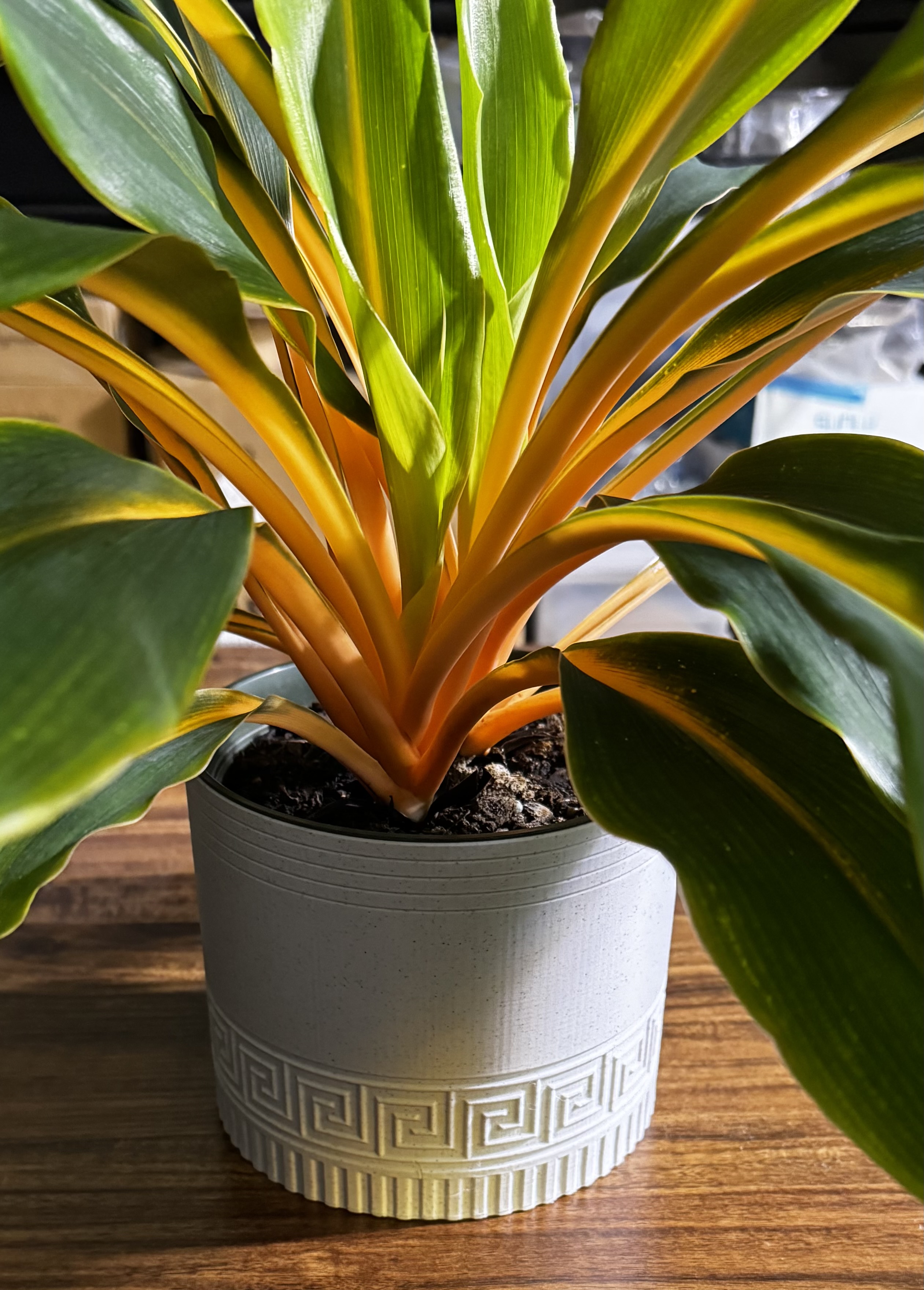 Plant Pot — Greek Meander by Dark Squirrel Designs | Download free STL ...