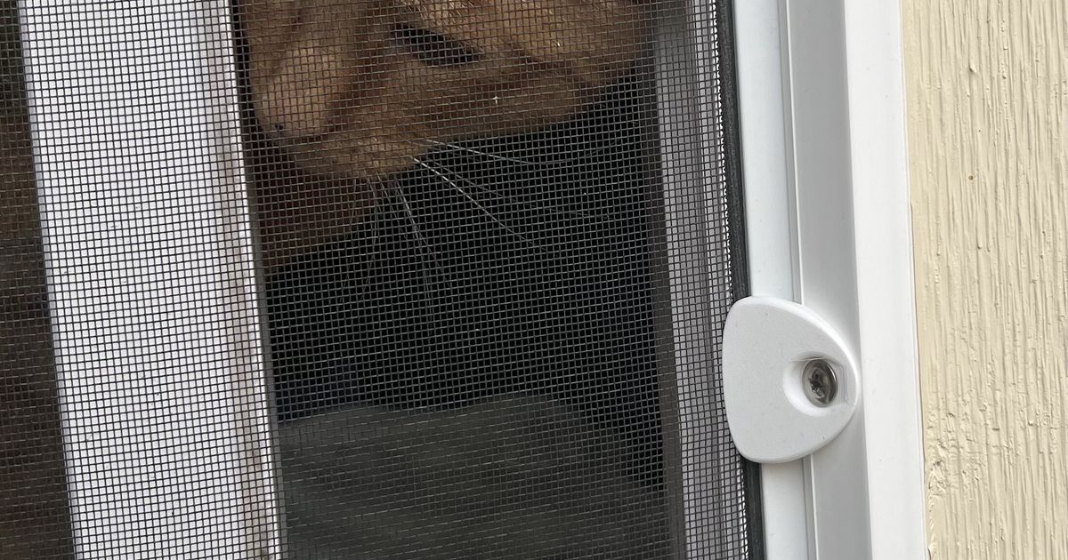 Window Screen Retention Bracket by ex-nerd | Download free STL model ...