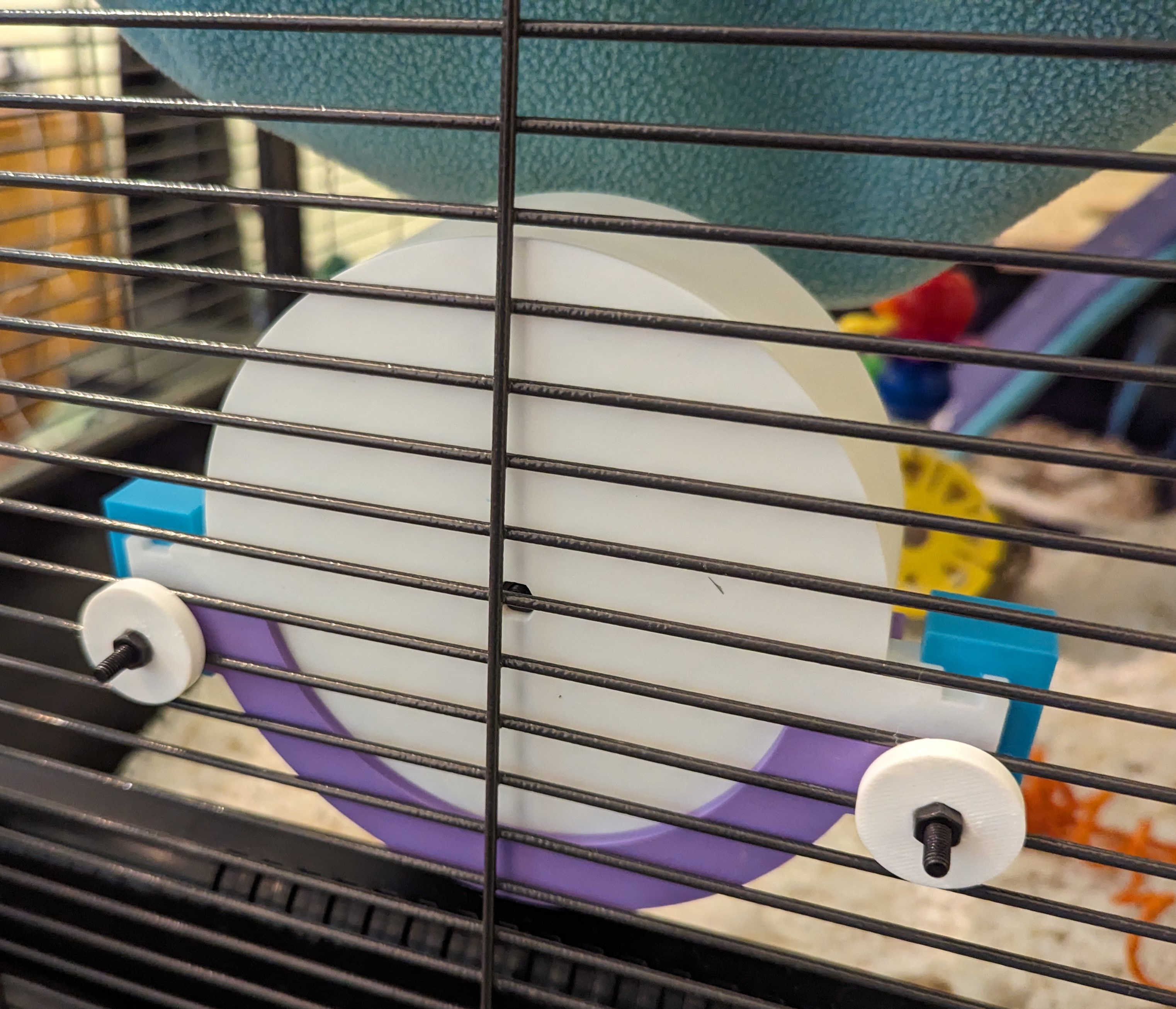 Modular/Removable Rat Foraging Wheel by InventorIan | Download free STL ...