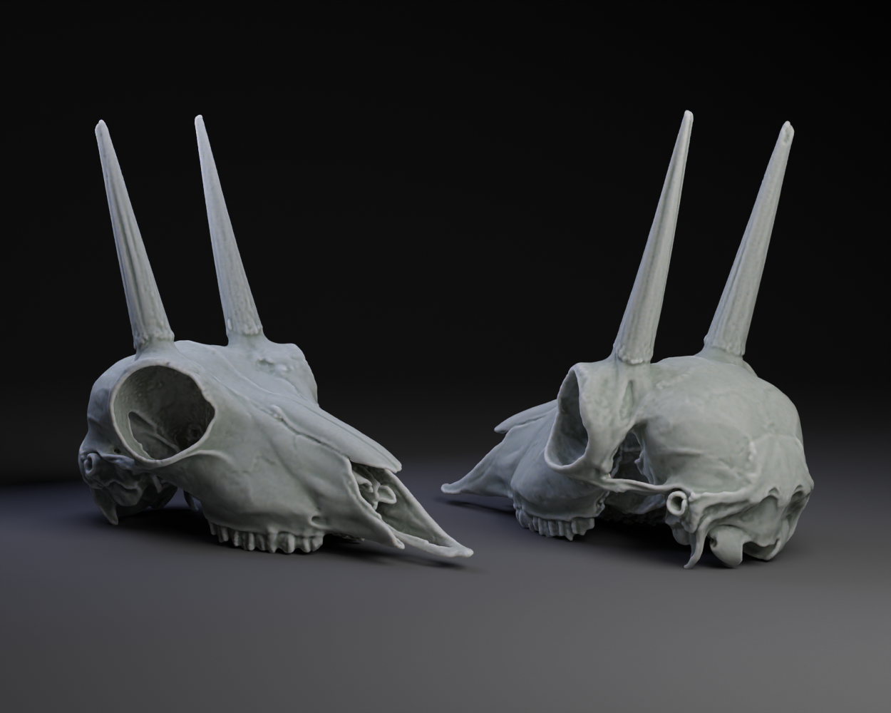 Grey Rhebok : Antelope Skull by Peter Farell | Download free STL model ...