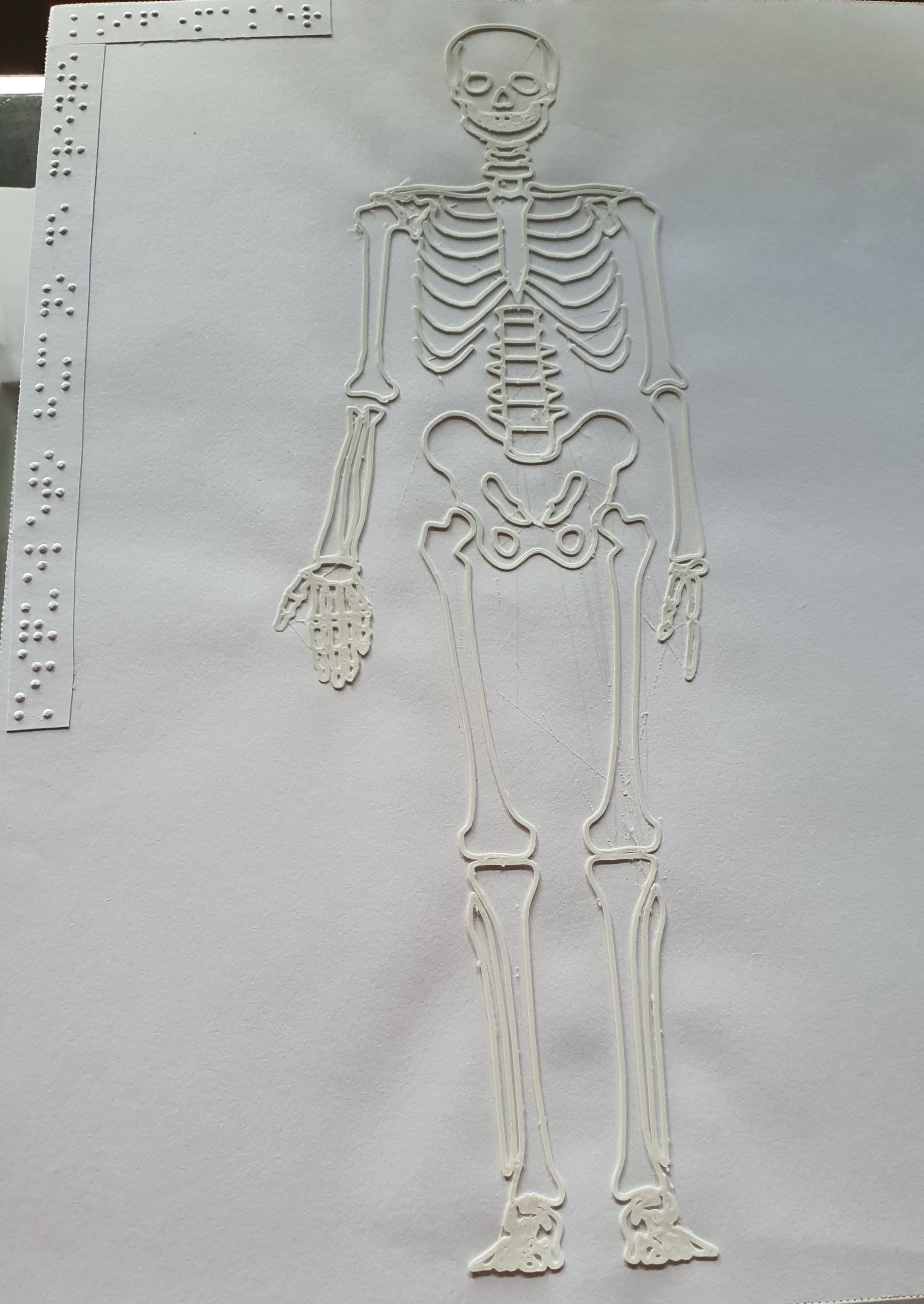 Tactile image: skeleton (front) by GutenBar | Download free STL model ...