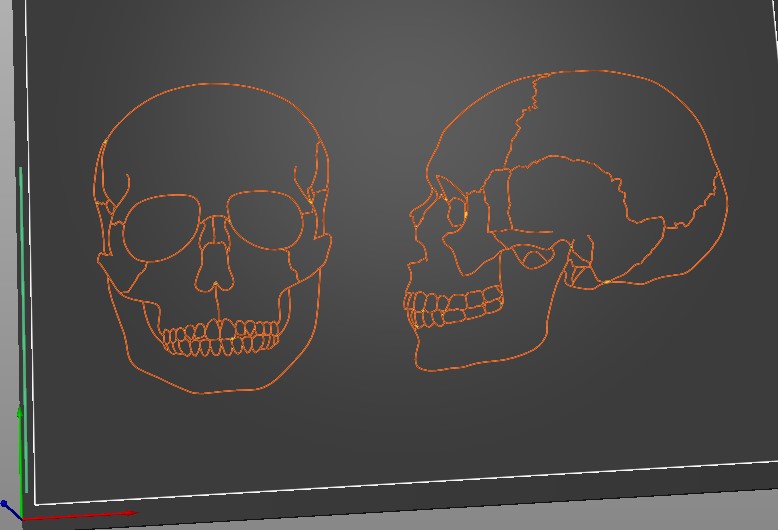Tactile image: skull by GutenBar | Download free STL model | Printables.com