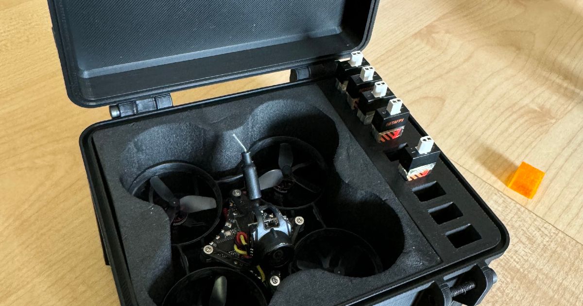 Mobula 6 2024 rugged box by Alex Sabetta | Download free STL model ...