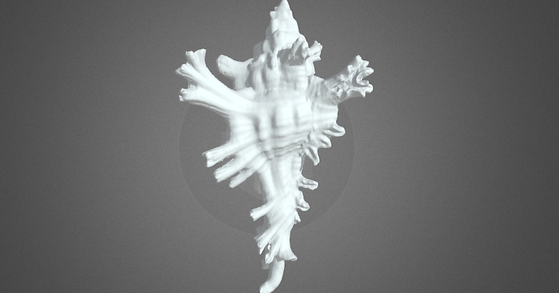 Seashell-3D Scanned by Revopoint MIRACO 3D Scanner by Revopoint 3D ...