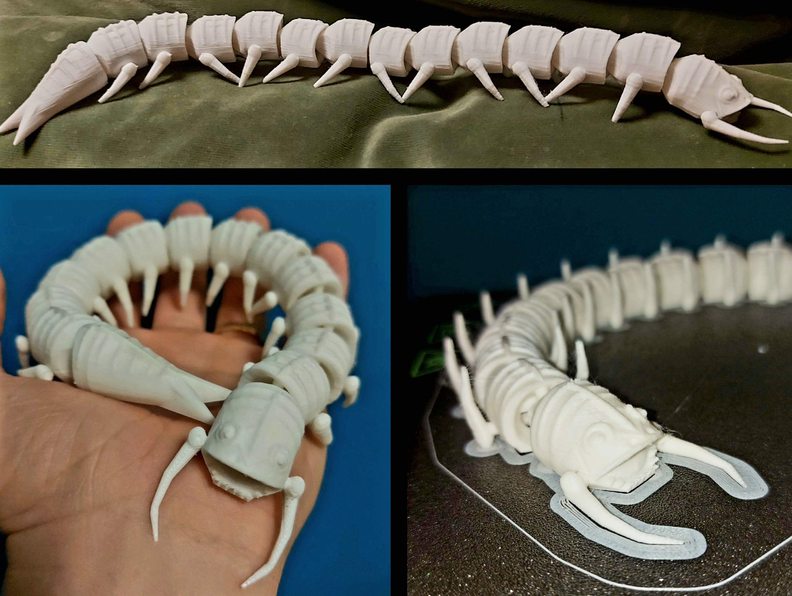 Articulated Centipede Creature (Print-In-Place) by kida | Download free ...