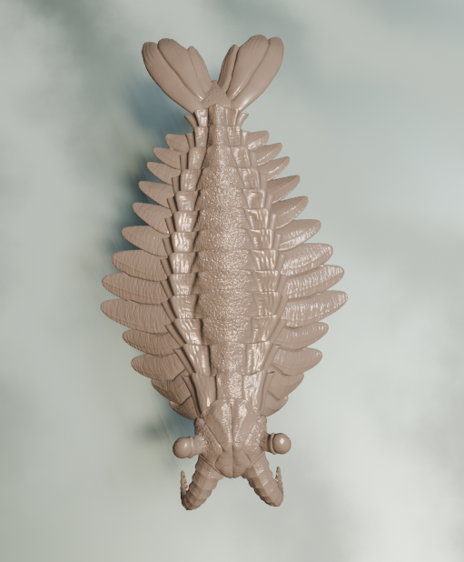 Anomalocaris sculpture by DragonArtist15 | Download free STL model ...