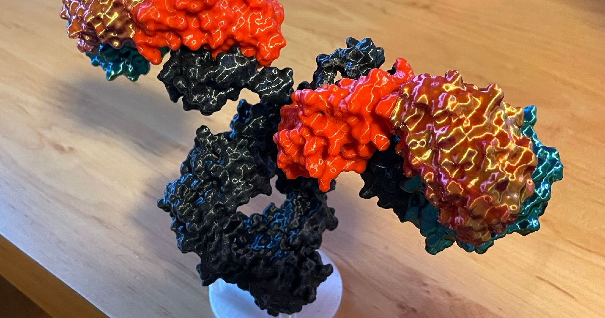 IgG antibody model with stand por sednanalien | Descargar modelo STL ...