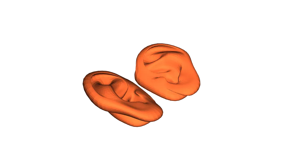Ear by mikan | Download free STL model | Printables.com