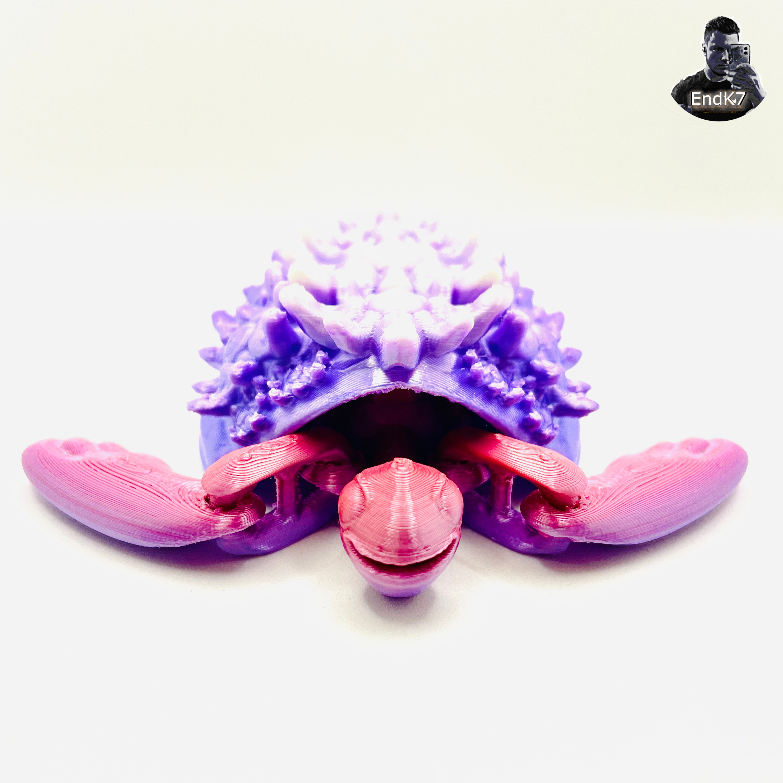 Cute Articulated Turtles #1 - Three Models - Swappable Shell - Print in ...