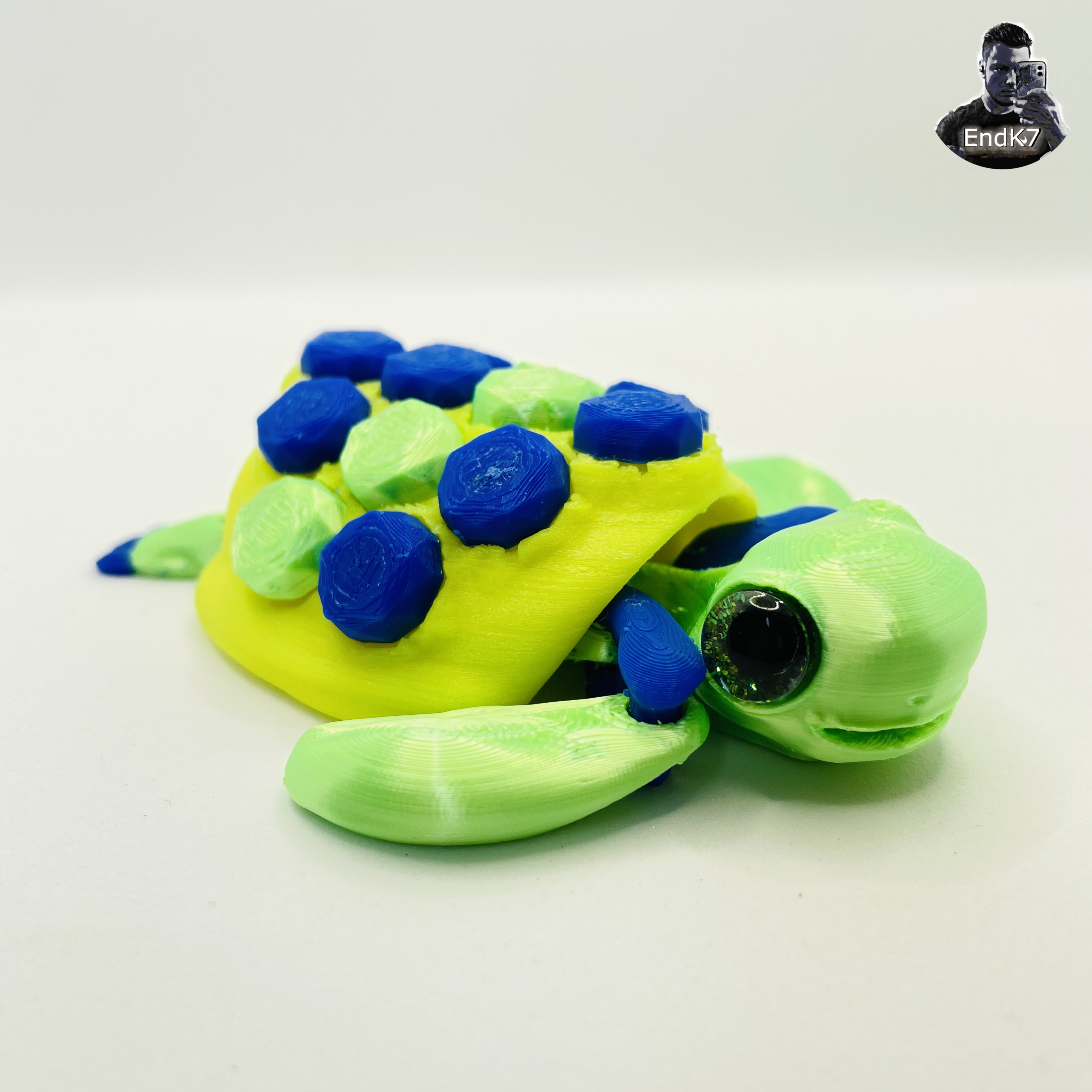 Cute Articulated Turtles #3 - Swappable & Customizable Shell - Print in ...