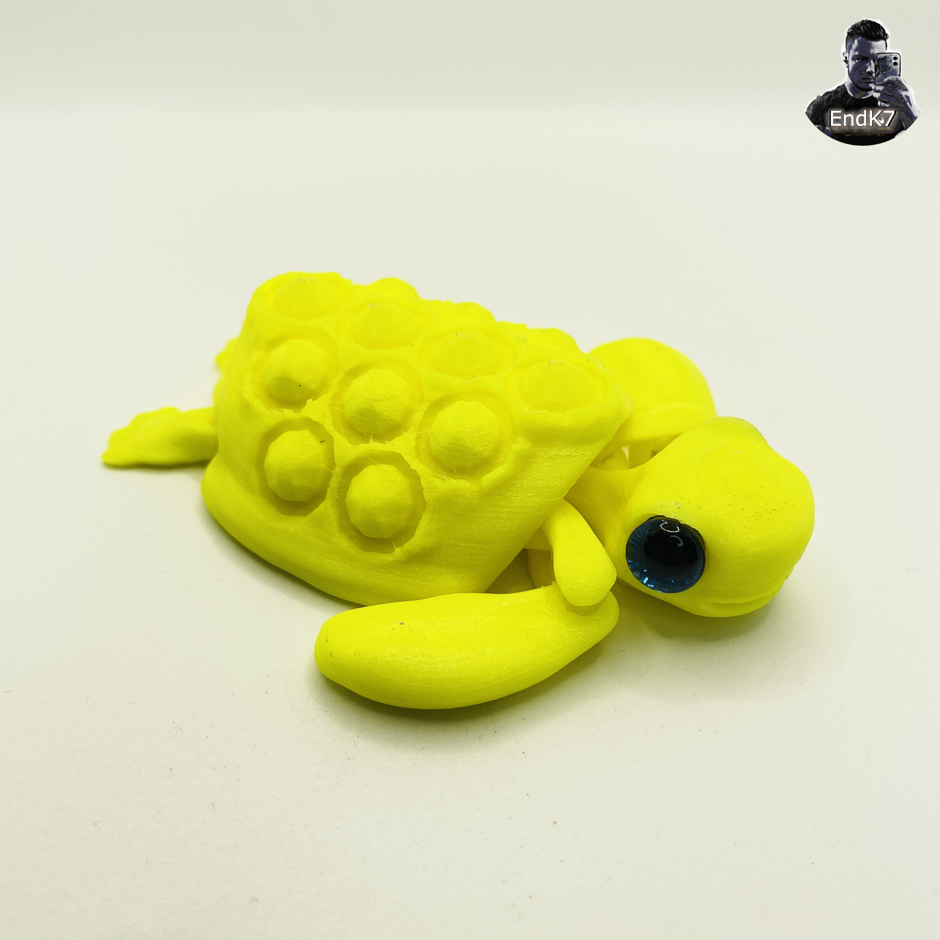 Cute Articulated Turtles #3 - Swappable & Customizable Shell - Print in ...
