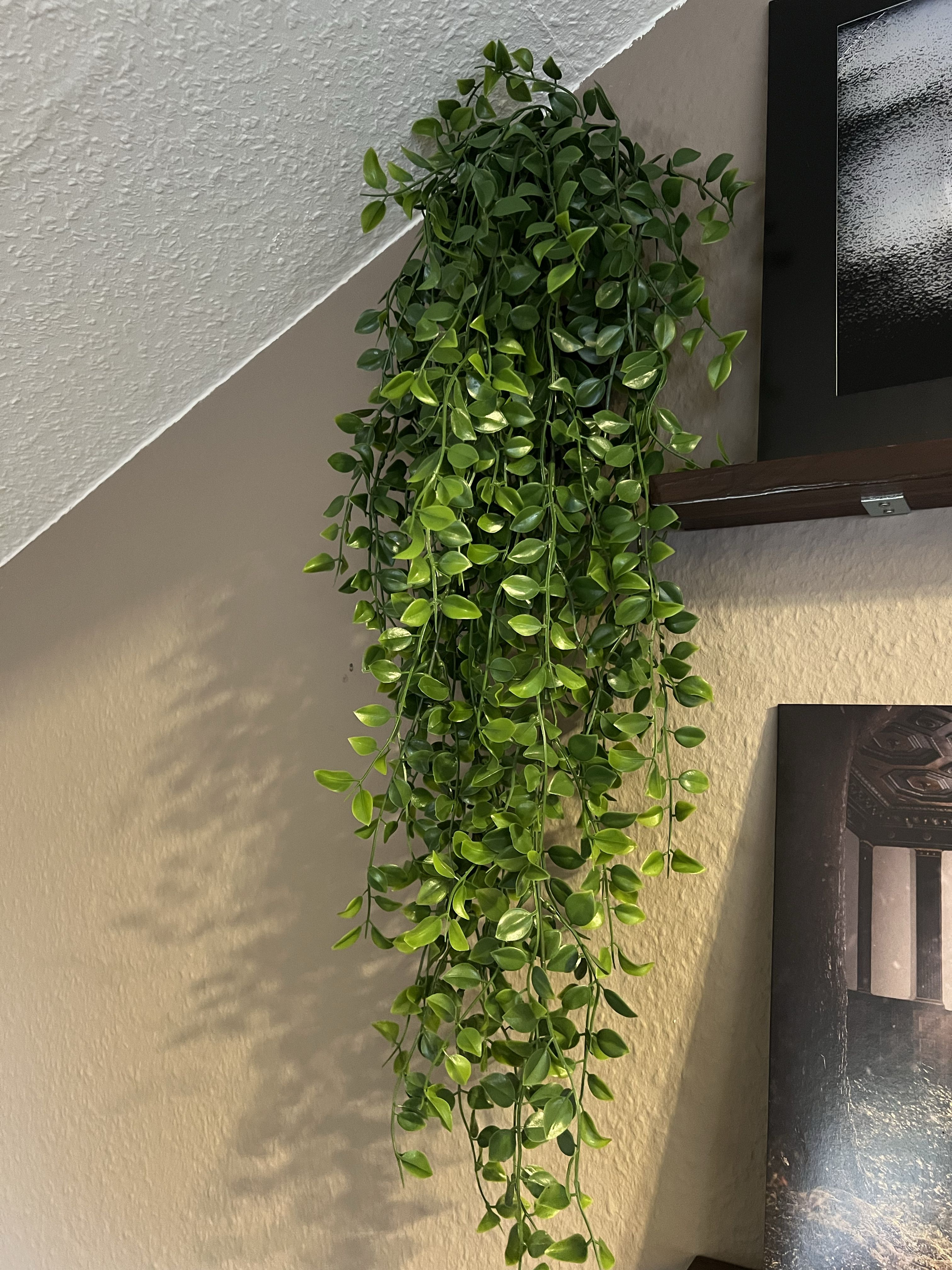 Mica Flower Wall Mount by David Hahn | Download free STL model ...