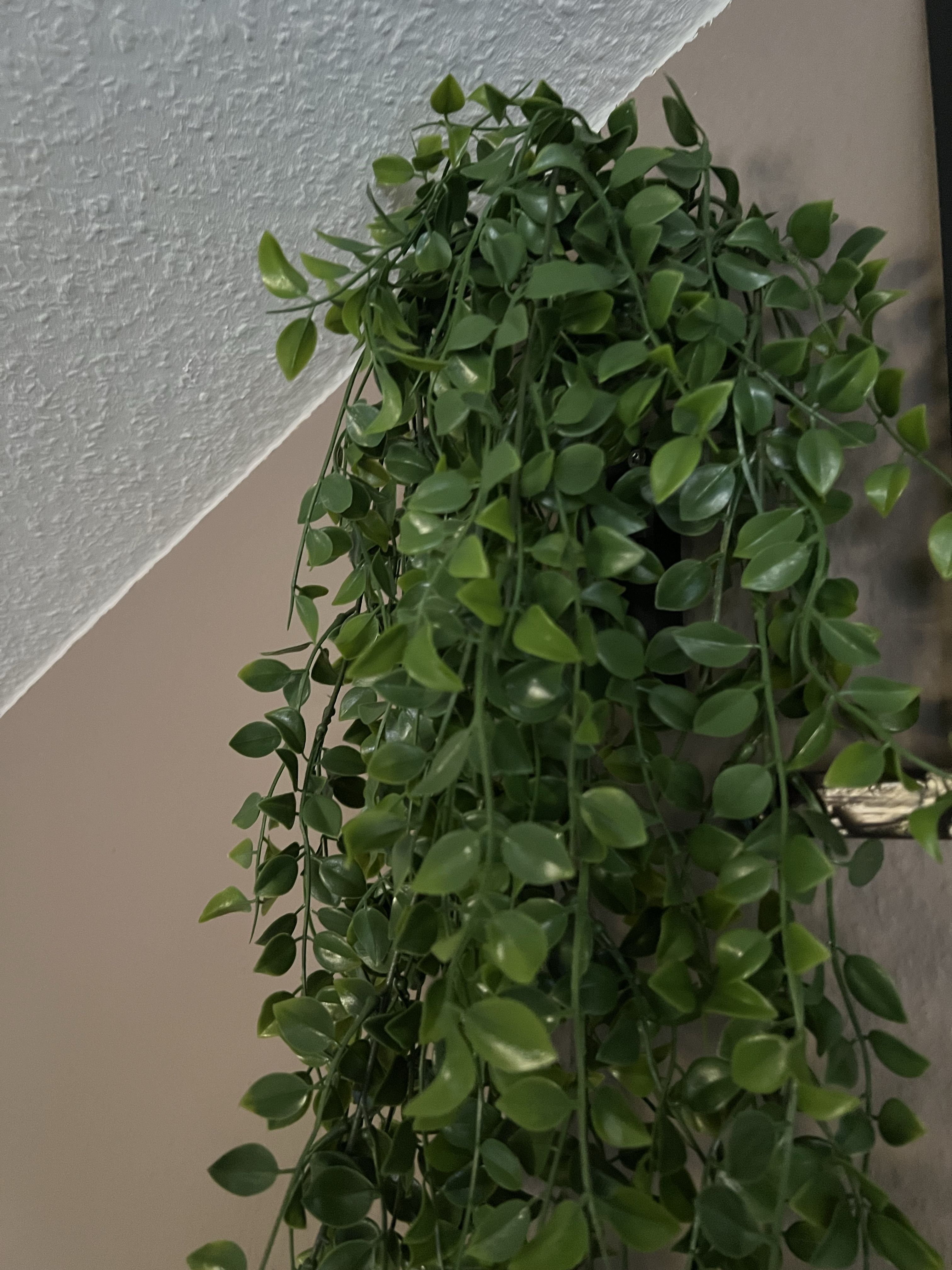 Mica Flower Wall Mount by David Hahn | Download free STL model ...