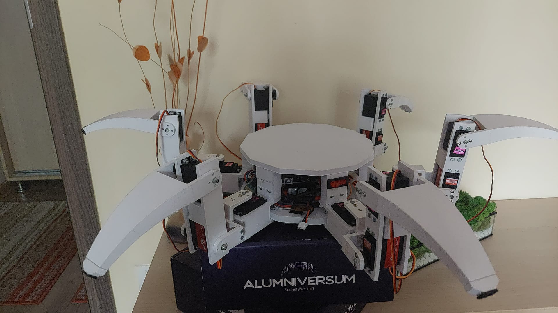 Hexapod by Țiple Cristian | Download free STL model | Printables.com