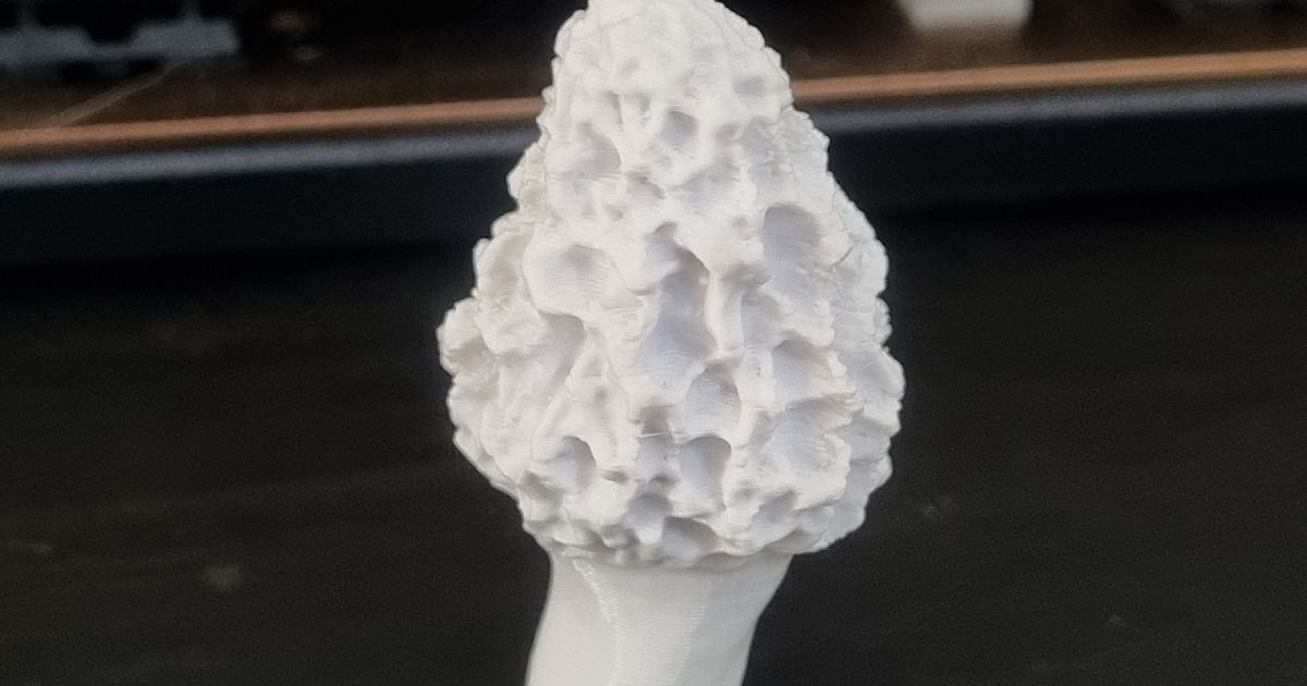 Morel Mushroom - Scan by Springytails | Download free STL model ...