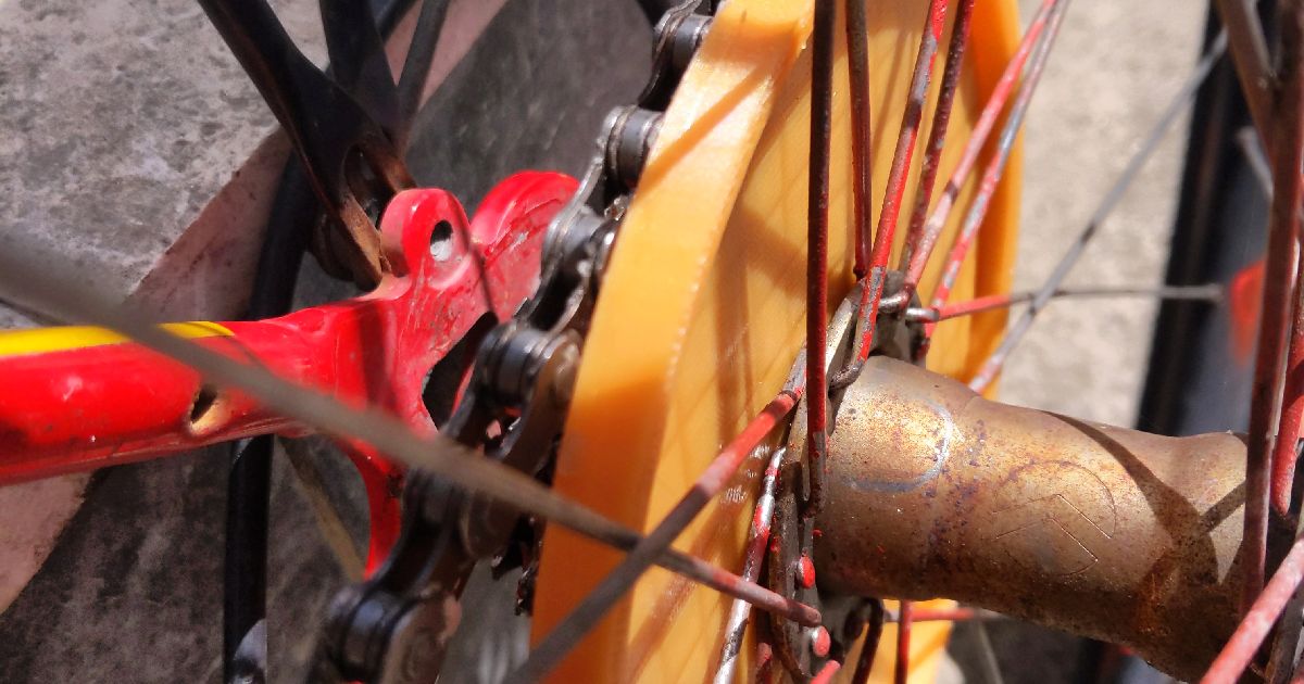 Simple bicycle spoke protector/dork disc w/ no supports by L29Ah ...