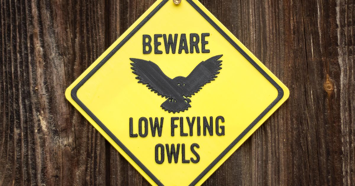 BEWARE LOW FLYING OWLS warning sign. Single colour printers friendly ...