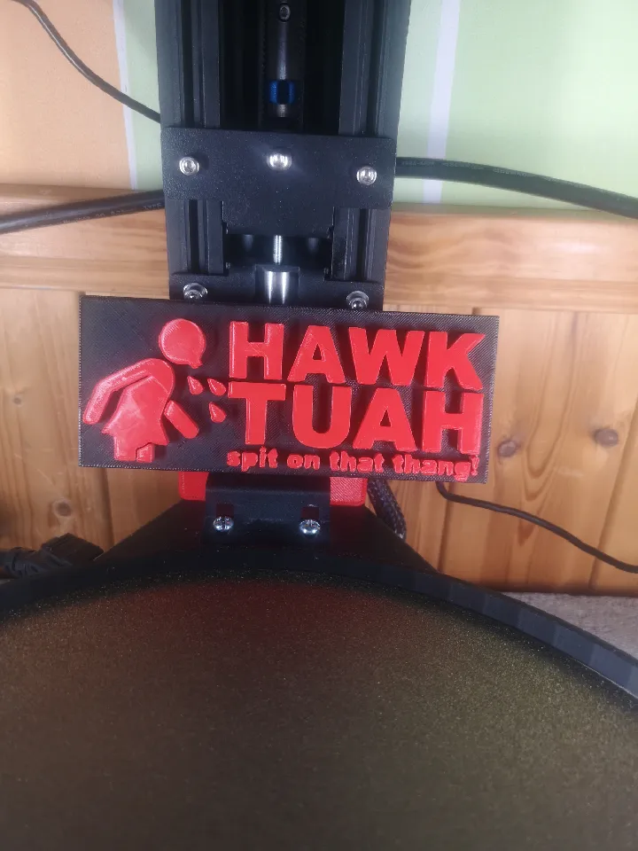 hawk tuah by L0stinsweden | Download free STL model | Printables.com