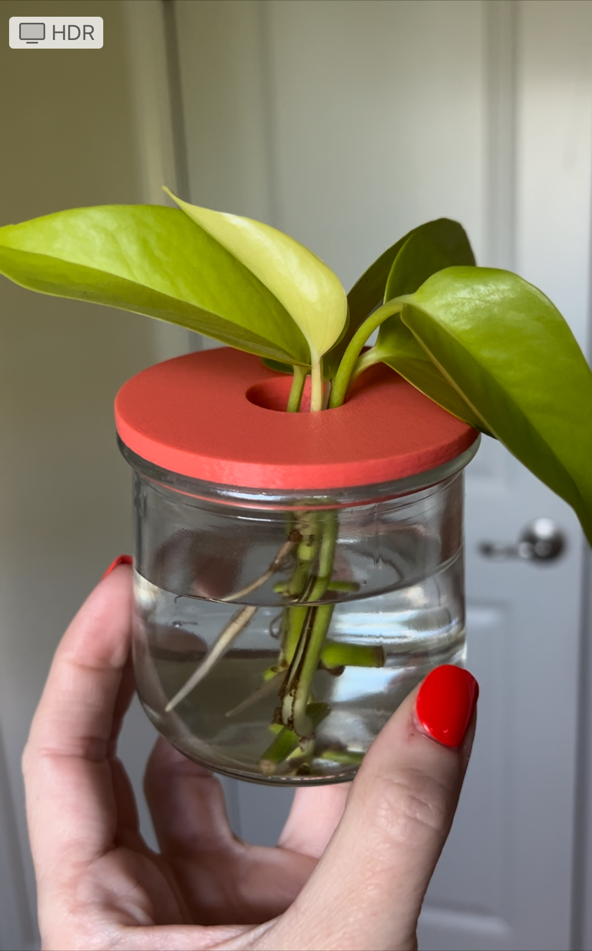 Oui Jar Plant Propagation Lid by Camille Gerrick | Download free STL ...