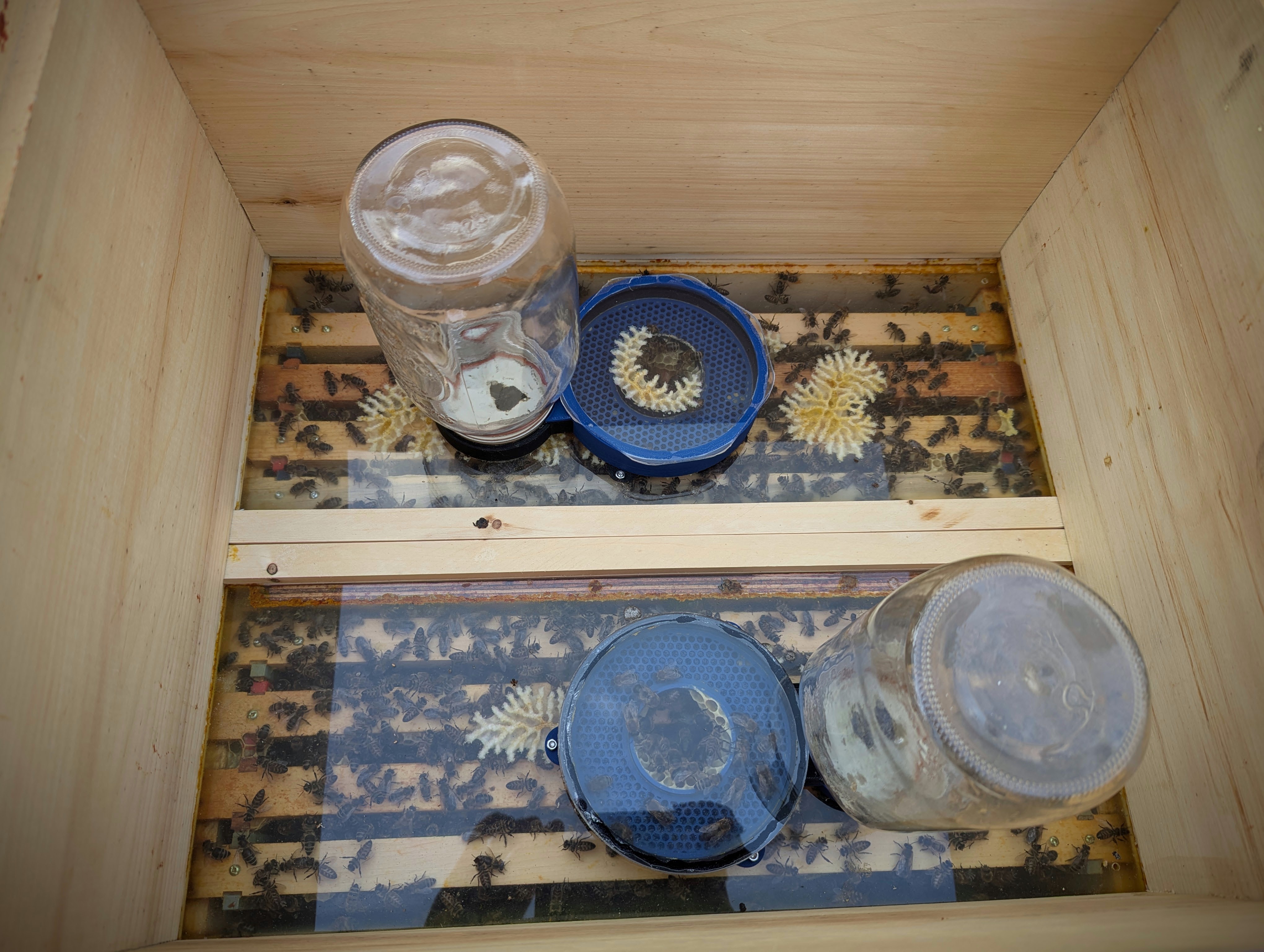 Foulds Feeder 1000 (In-hive mason jar bee feeder) by Ian Foulds ...