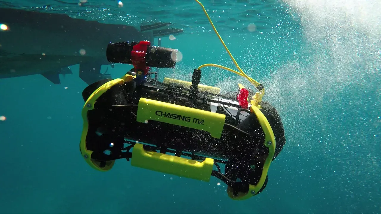 Paralenz Vaquita to gopro Camera mount by Nick14 | Download free STL ...