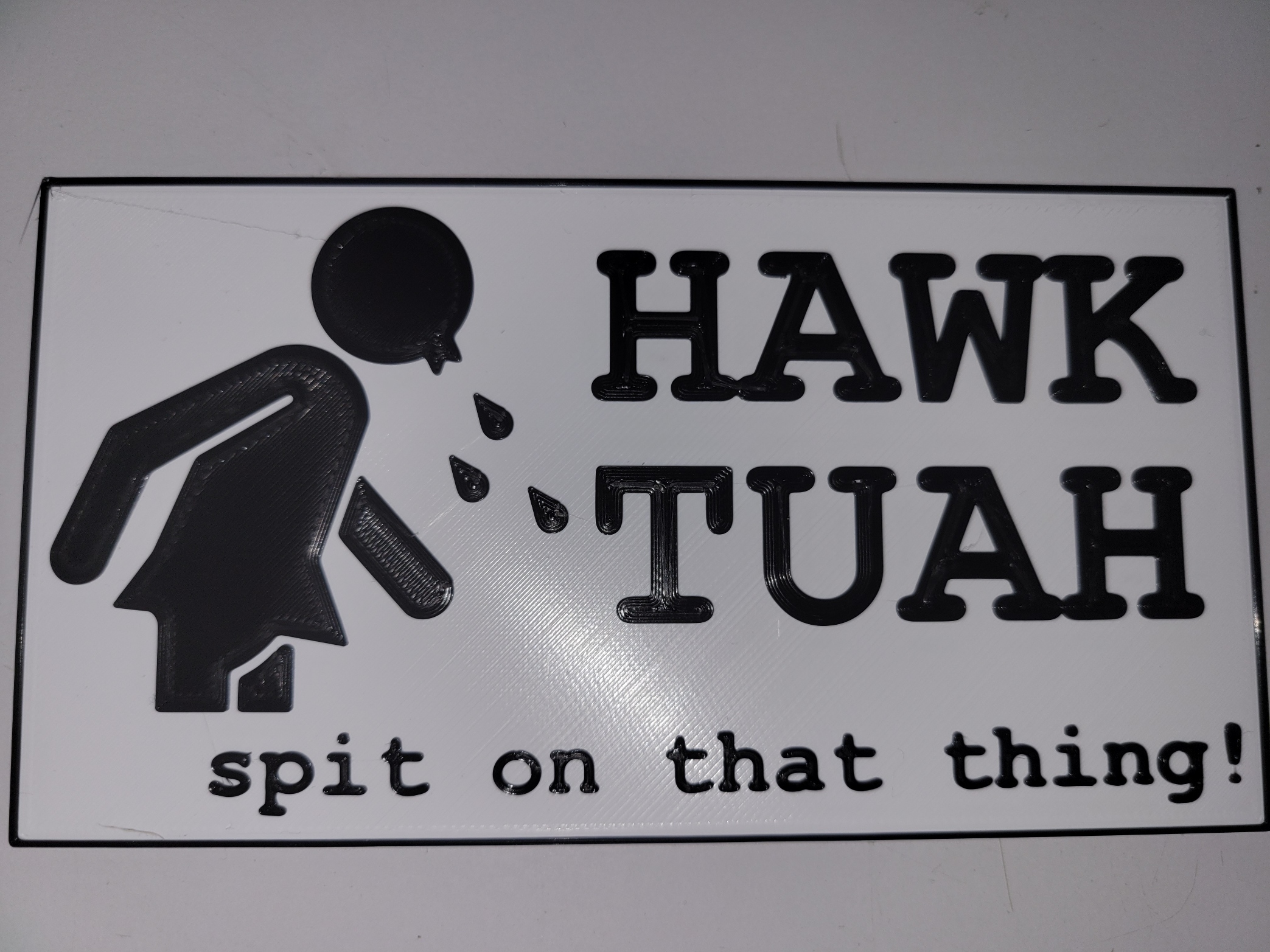 Hawk Tuah by TheLastPlasticBender | Download free STL model ...