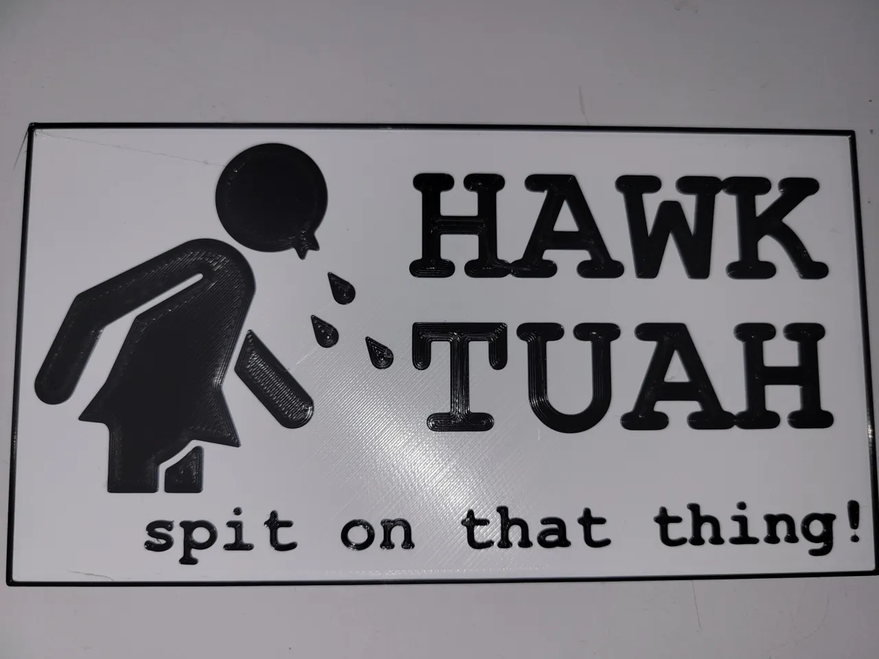 Hawk Tuah by TheLastPlasticBender | Download free STL model ...