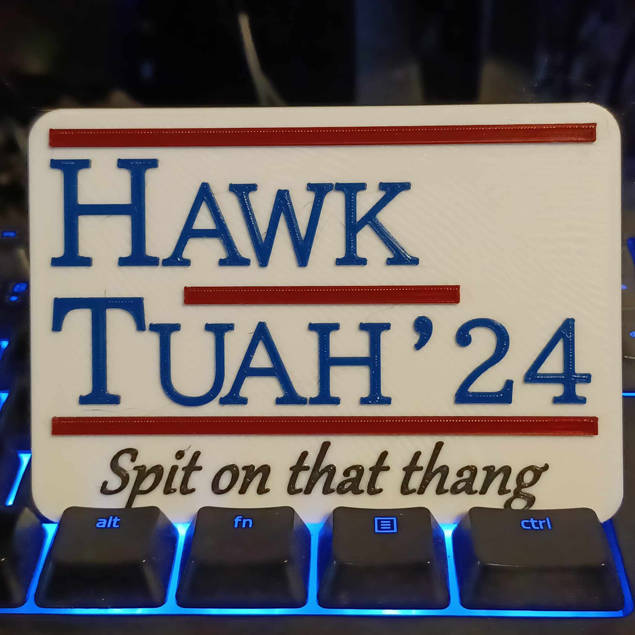 Hawk Tuah! Spit on that thang by user_29903355 - MakerWorld
