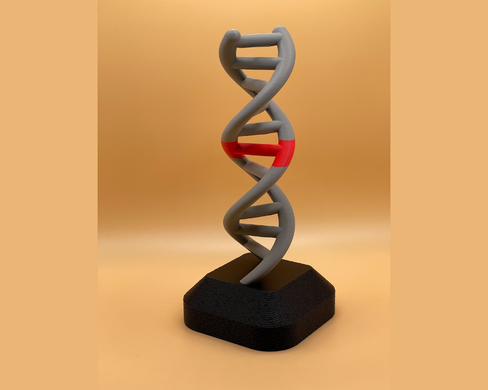 DNA-Shaped Decor by Levytek | Printables Store