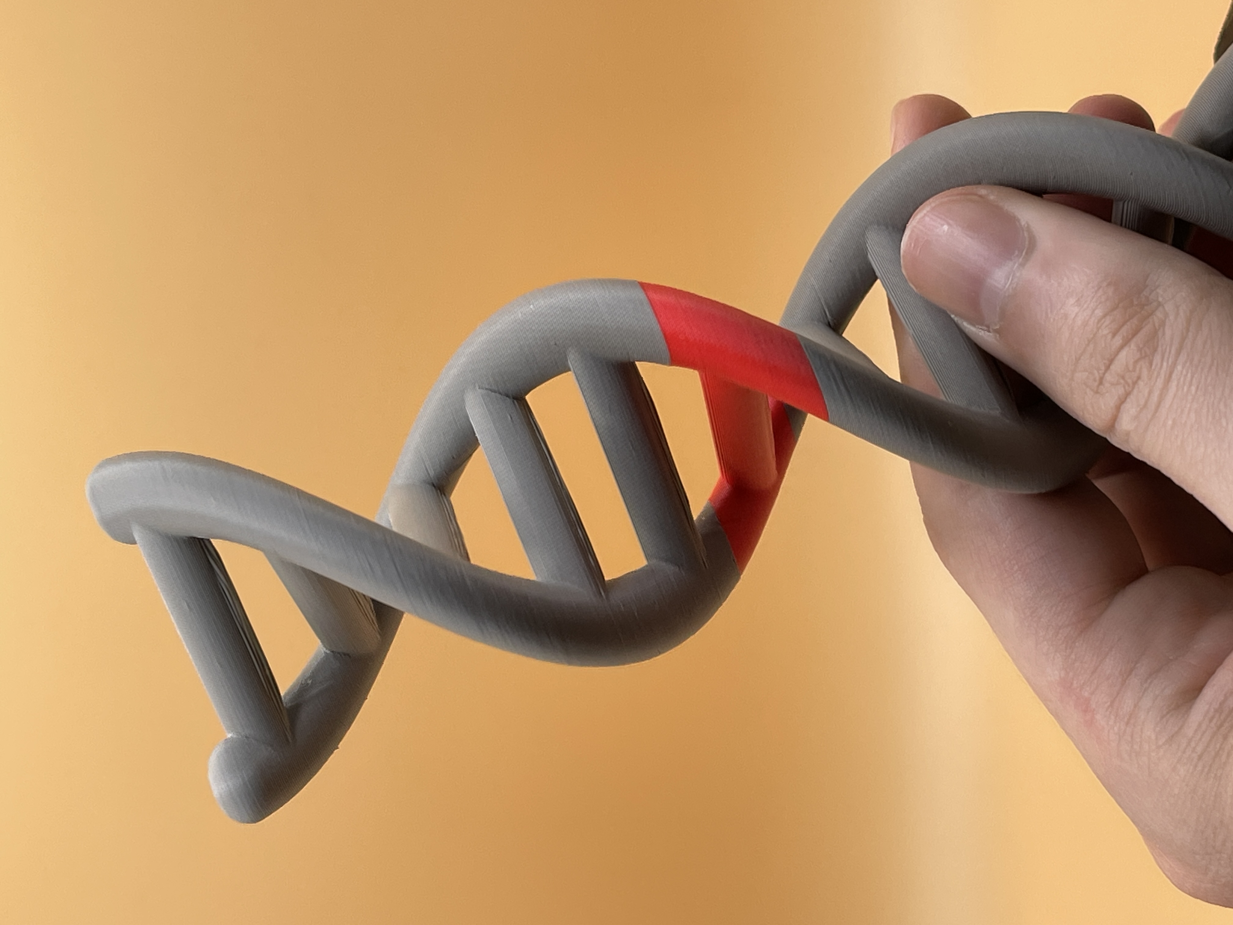 DNA-Shaped Decor by Levytek | Printables Store