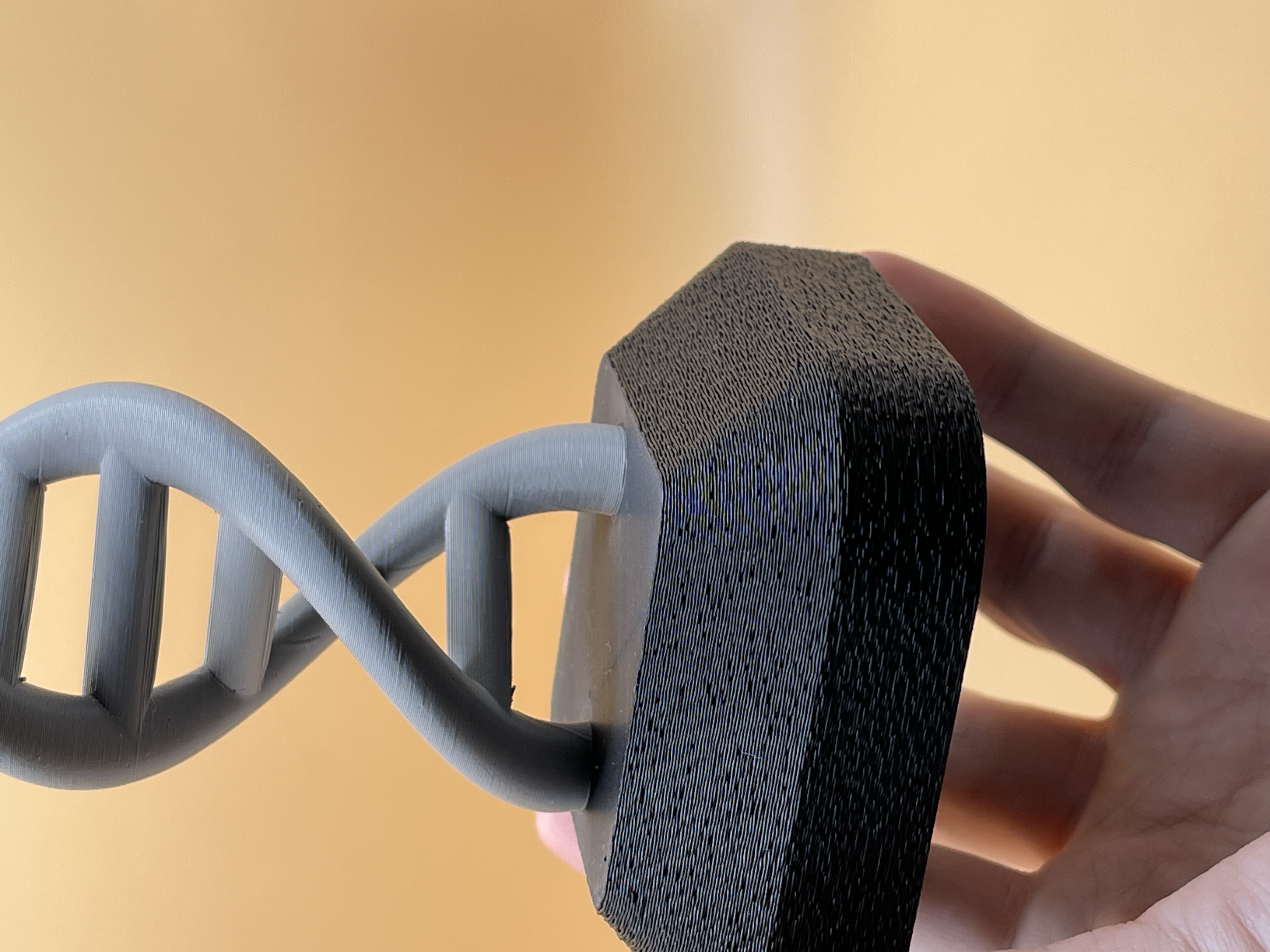 DNA-Shaped Decor by Levytek | Printables Store