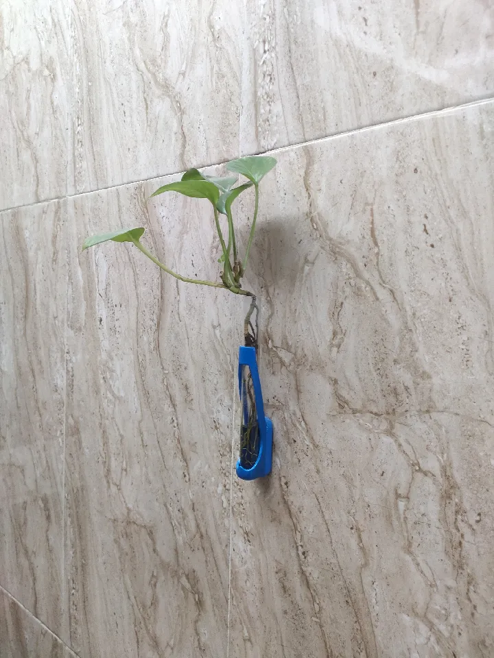 wall mount propagation station by m3d_creations | Download free STL model | Printables.com