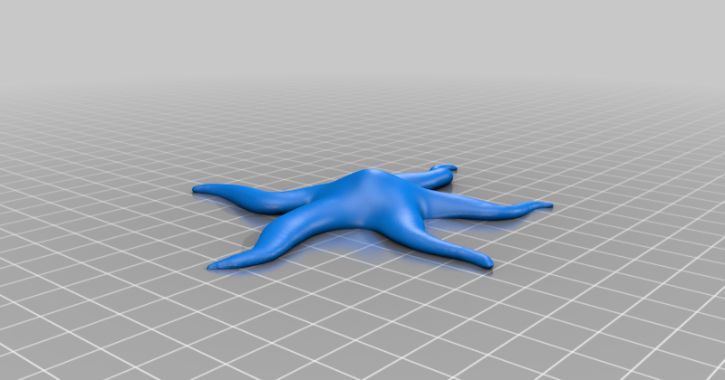 Starfish by Executive Quest | Download free STL model | Printables.com