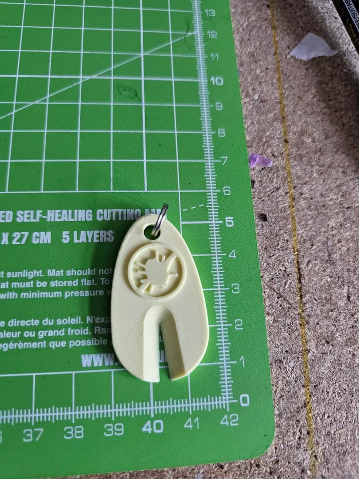 Tick removal keyring by This Noise | Download free STL model ...
