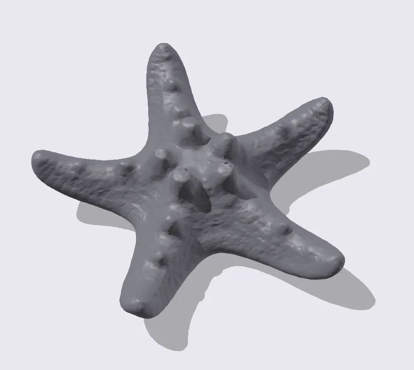 Starfish photogrammetry scan by WaterDragon14 | Download free STL model | Printables.com