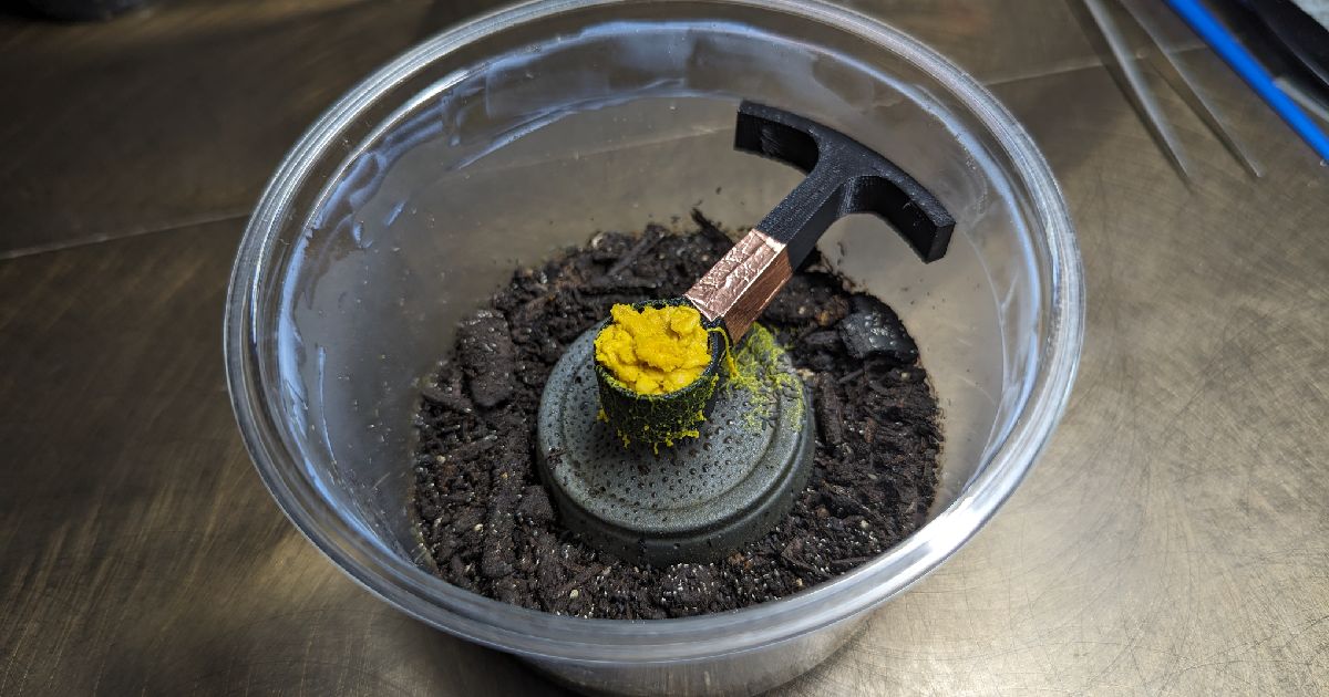 Slime mold feeder for slime-feeding springtails (16oz deli) by myxfit ...