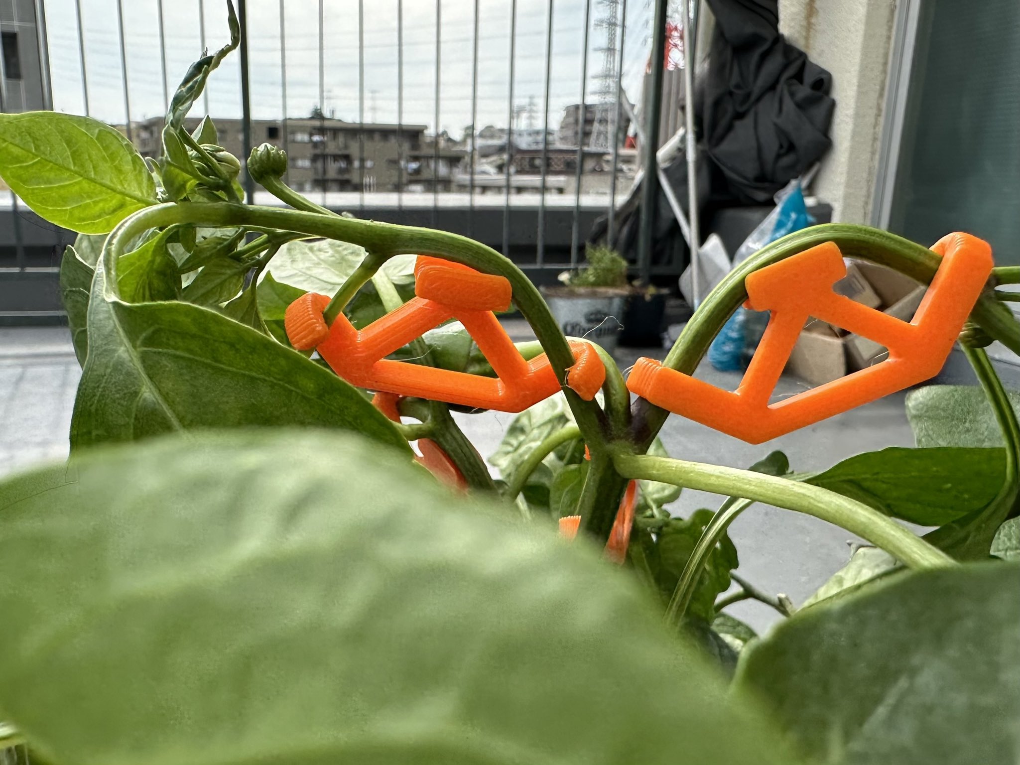 90deg_Plant Trainer for Low Stress Training (LST) by CodeName X ...